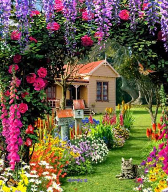 gardener | Gardening & Landscaping | Gumtree Australia Brighton Area ...