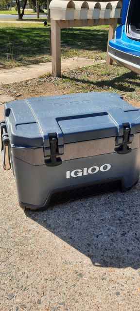 IGLOO Esky Drink cooler. click through pics - Camping & Hiking in ...
