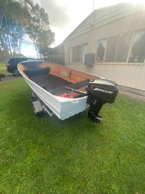 12ft tinny with 15hp mercury | Tinnies & Dinghies | Gumtree Australia ...