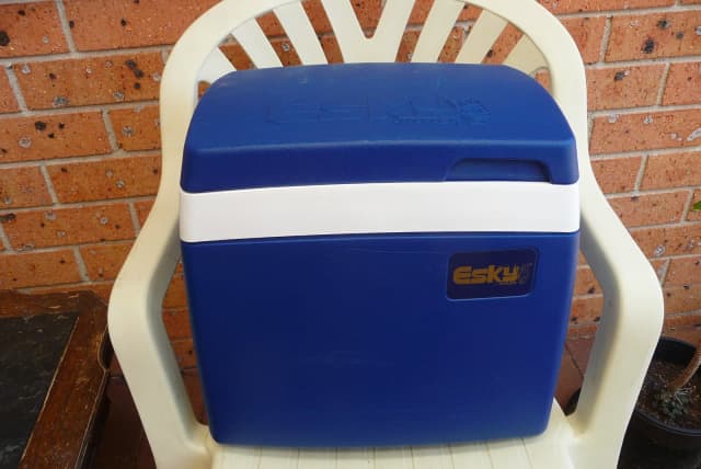 Esky by Nylex for your picnic | Camping & Hiking | Gumtree Australia ...