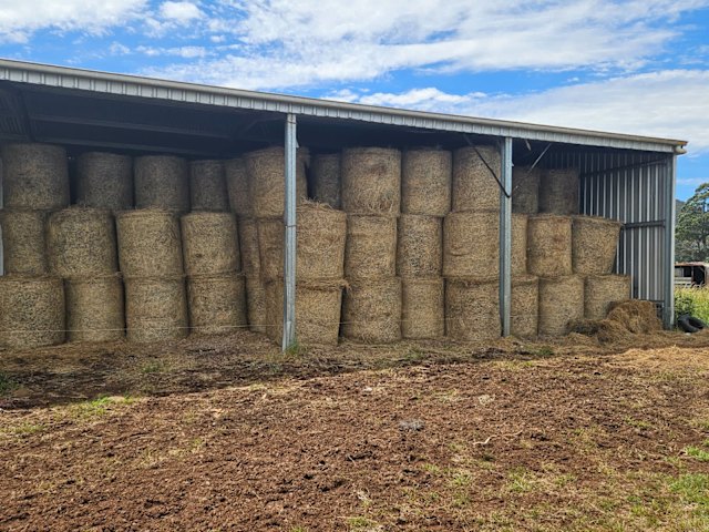 Small Round bales of grass and clover hay | Pet Products | Gumtree ...