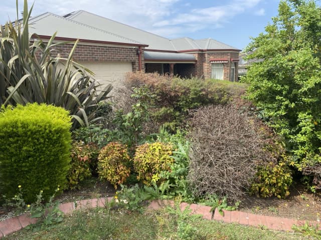 M&G U grow it we Mow it lawn services | Landscaping & Gardening ...