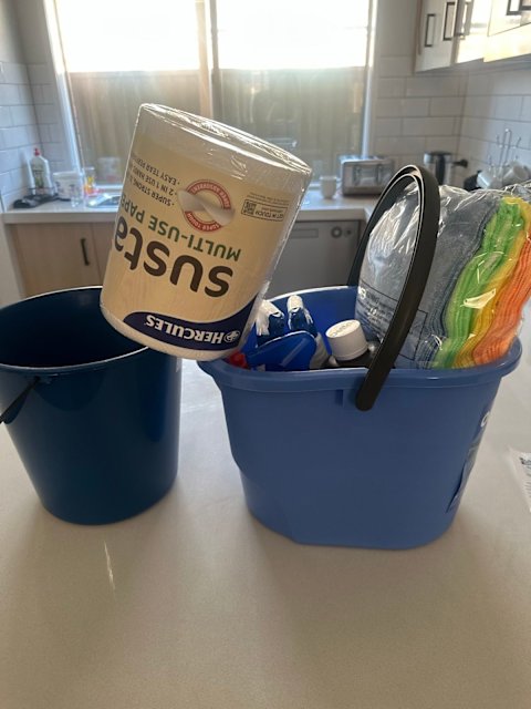 Domestic cleaning start ASAP | Cleaner & Housekeeper | Gumtree ...