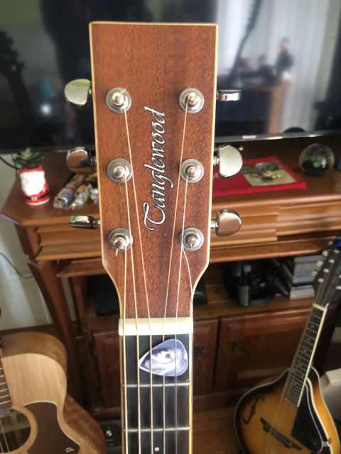 Acoustic/electric guitar Tanglewood - Guitars & Amps in Hillcrest TAS ...