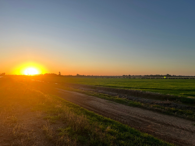 Relief Milker | Farm Management | Gumtree Australia Moira Area ...