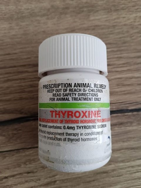thyroxine for dog | Pet Products | Gumtree Australia Joondalup Area - Joondalup | 1335936720