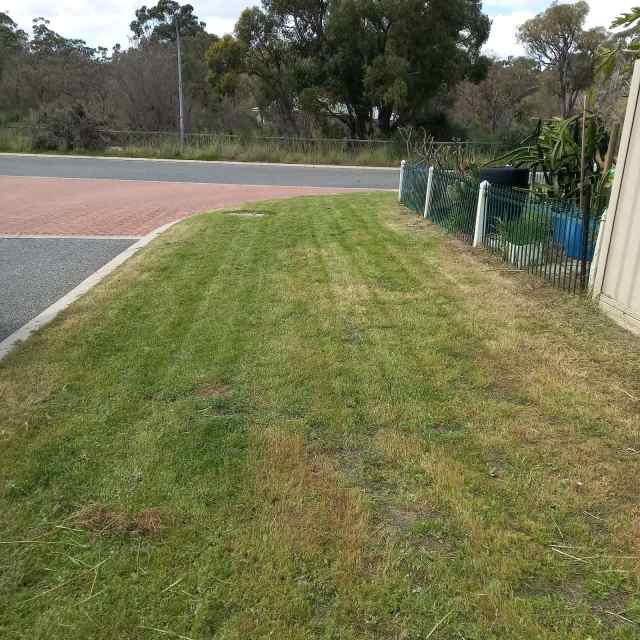 Lawn mowing and garden care | Landscaping & Gardening | Gumtree ...