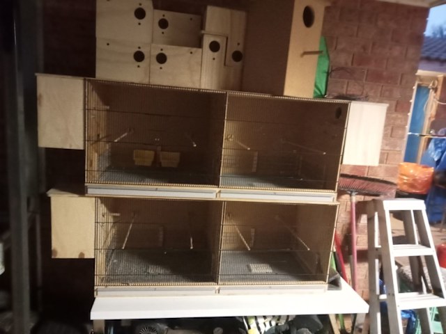 bird breeding cages and nest boxes All new | Birds | Gumtree Australia ...