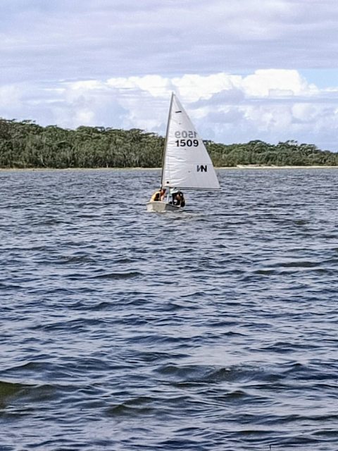 sabot sailing dinghy | Sail Boats | Gumtree Australia Eurobodalla Area ...