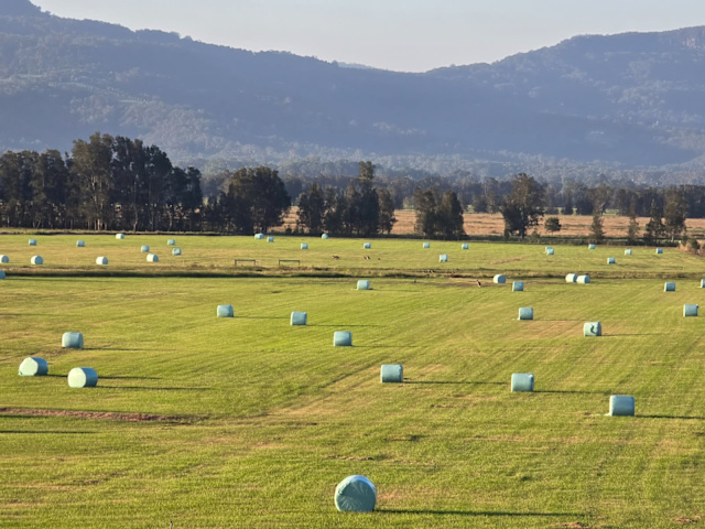 VERY CLEAN PASTURE SILAGE - Miscellaneous Goods in Berry NSW | Gumtree ...
