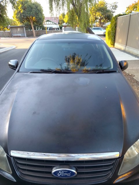 2008 FORD FALCON XT 5 SP AUTO SEQ SPORT SHIFT 4D SEDAN | Cars, Vans ...