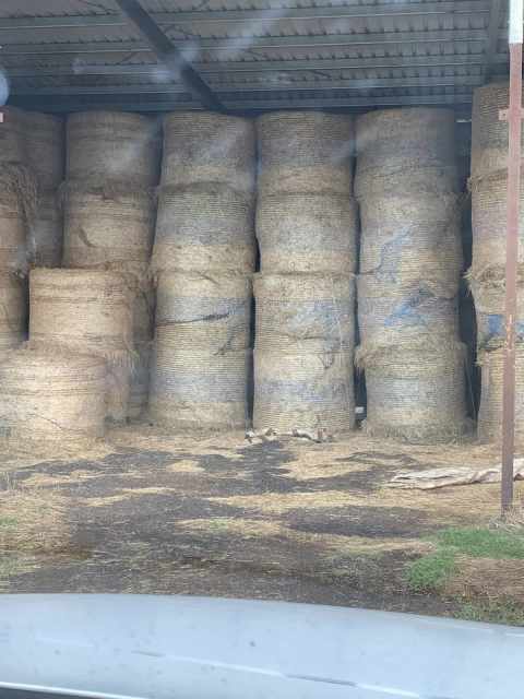 Hay - large round bales - high quality | Livestock | Gumtree Australia ...
