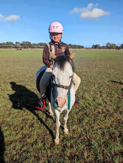 Miss Lilly is looking for her next loving home | Horses & Ponies ...