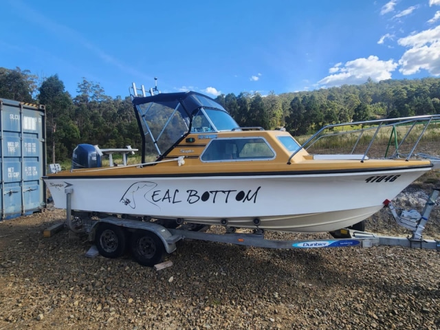 Savage Sceptre 19ft Boat | Motorboats & Powerboats | Gumtree Australia ...