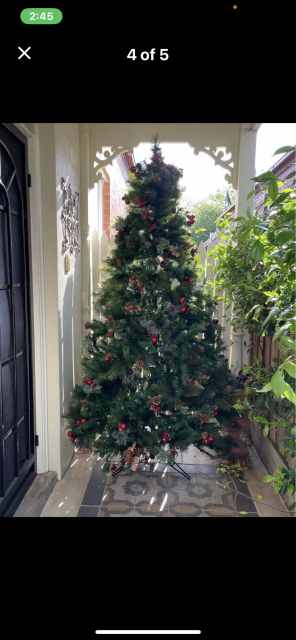 American spruce 2.1 mtr Christmas tree - Decorative Accessories in ...