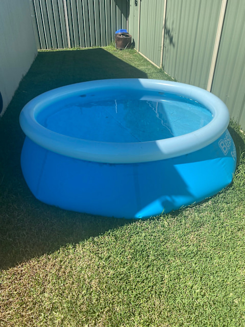 Free Pool, 2.4 metre - Pool in Elermore Vale NSW | Gumtree Australia