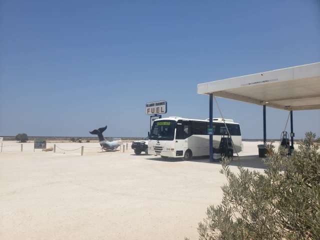 2003 MAN Denning Bus 8.5m converted to 5 seat van | Campervans ...