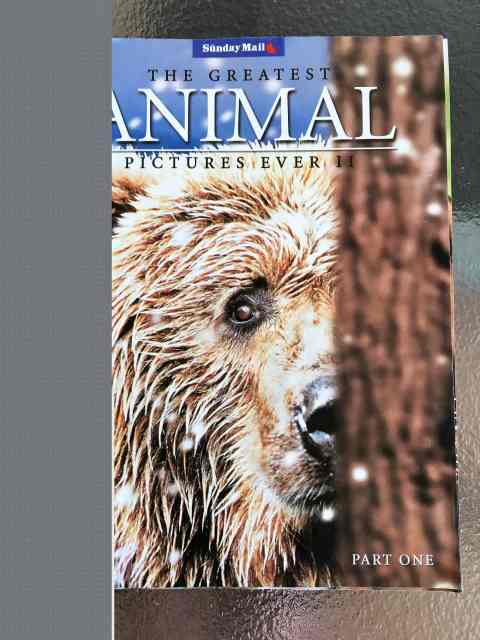 Part 1 Greatest Animal Pictures Ever 2 II Photos Birds Sea Creatures ...