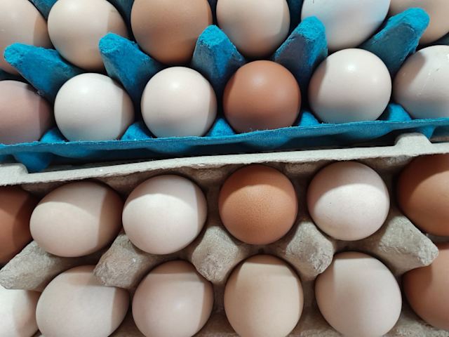fertile heritage breed chicken eggs for sale | Livestock | Gumtree ...