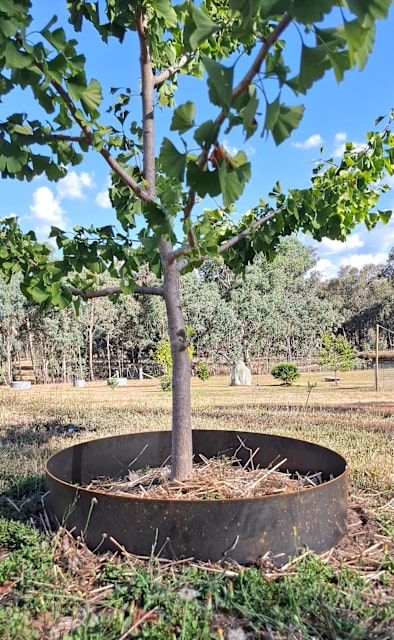 Steel garden rings - Pots & Garden Beds in Greta VIC | Gumtree Australia