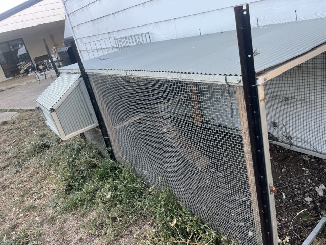 Royal rooster chook coop | Pet Products | Gumtree Australia Macedon ...