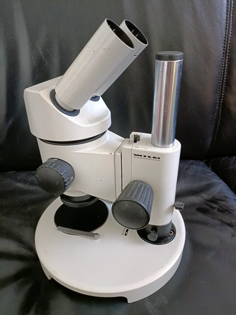 Wild Heerbrugg WILD M3 Binocular Stereo Microscope - Other Electronics ...