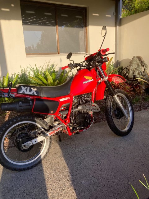 Honda XLX250R | Motorcycles | Gumtree Australia Shoalhaven Area - Vincentia | 1330542492