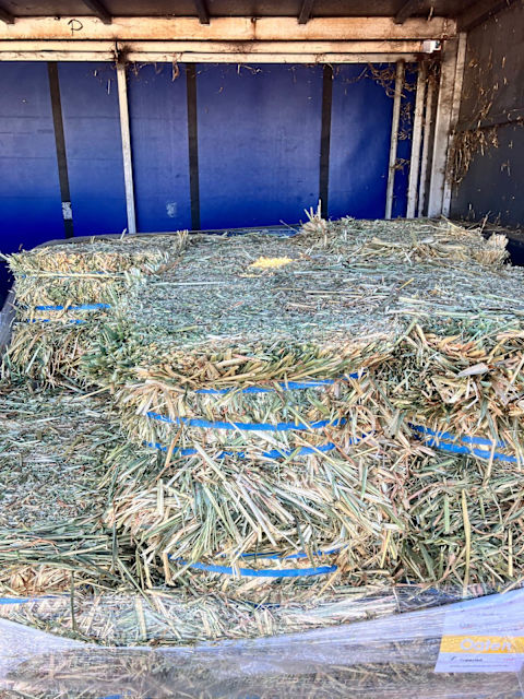 Premium Oaten hay bales | Pet Products | Gumtree Australia Hume Area ...