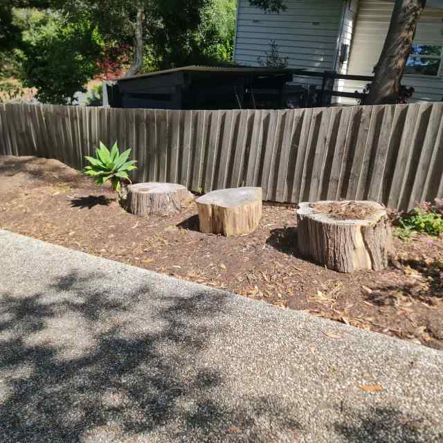 Wood logs for fire wood or other projects - Other Home & Garden in ...