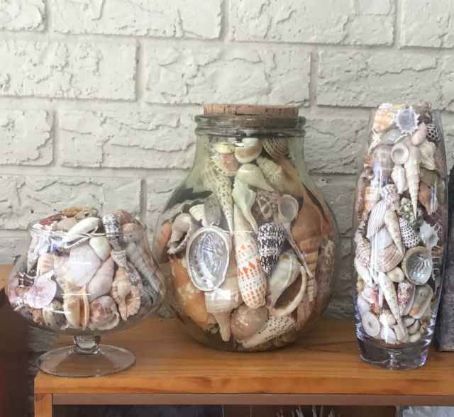 Townsville Annual Shell Show - Decorative Accessories in Kirwan QLD ...