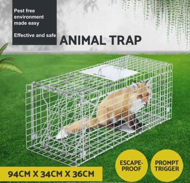 Extra Large Animal Trap Humane Cage Possum Fox Koala Rabbit Bird Cat ...