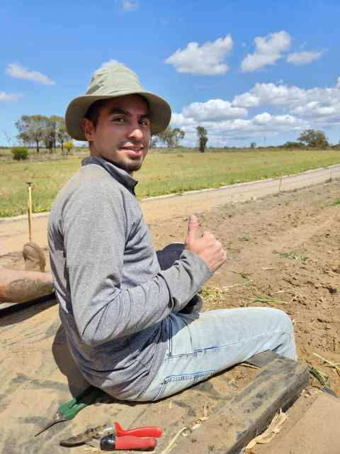 Reliable and Experienced Farm Workers Ready for Immediate Start | Other ...