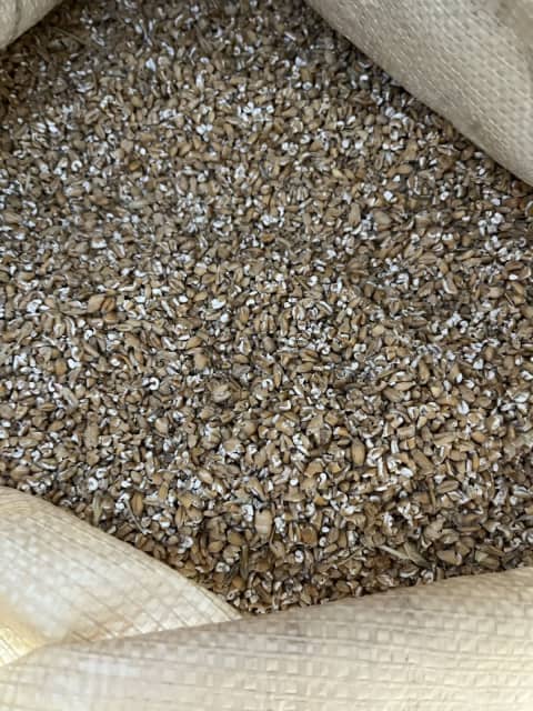 Bulk Grain Wheat, split wheat | Pet Products | Gumtree Australia ...