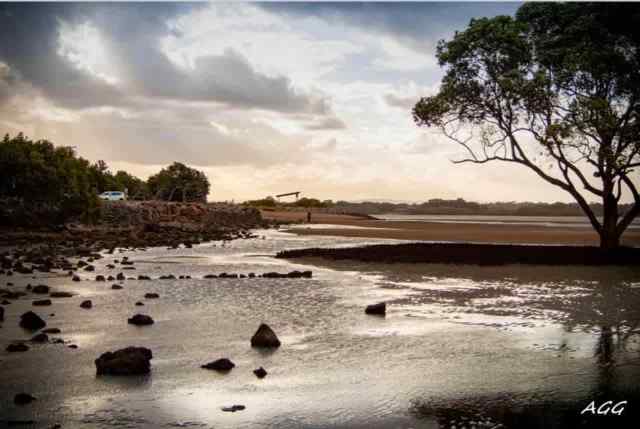 Wilderness photography - Art in Murrumba Downs QLD | Gumtree Australia
