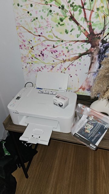 Canon TS3600 Wireless Printer - Great Condition + Ink Included ...