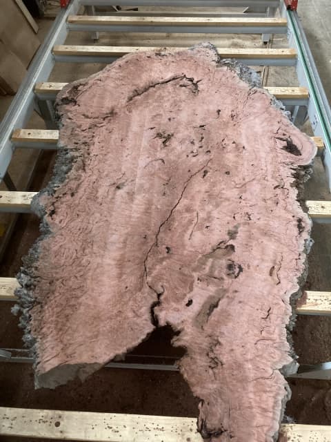Monster red gum burl slab for dining table boardroom meeting table ...