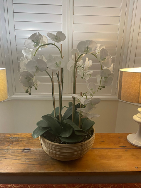 Beautiful fake orchid - very impressive! - Decorative Accessories in ...