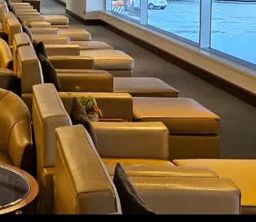 Airline leather lounges sofas chilli pip chairs reception hall - Sofas in Kingsgrove NSW ...