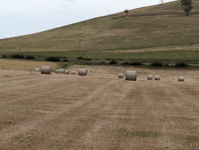 Oaten Hay & rye Grass Round Bales for sale | Livestock | Gumtree ...