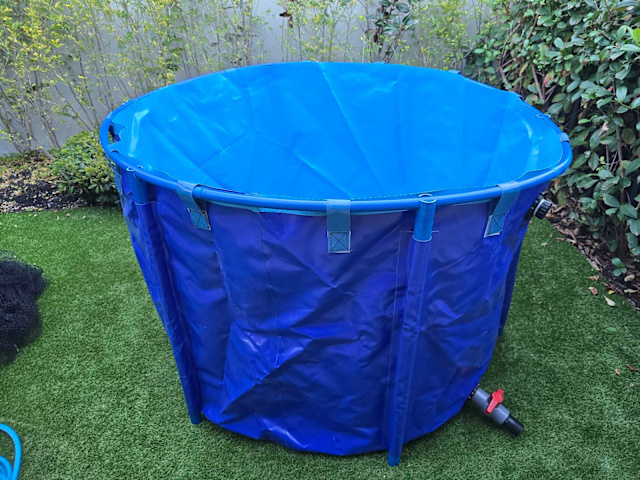 Koi collapsible Pond pvc | Fish | Gumtree Australia Fremantle Area - O ...