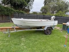 12ft tinny with 5hp Johnson motor | Tinnies & Dinghies | Gumtree ...
