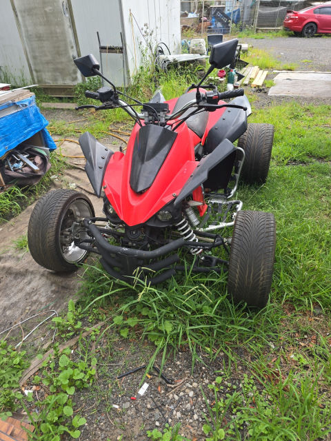 Custom Quad bike 250cc Eagle motorsports ATV | Quads, Karts & Other ...