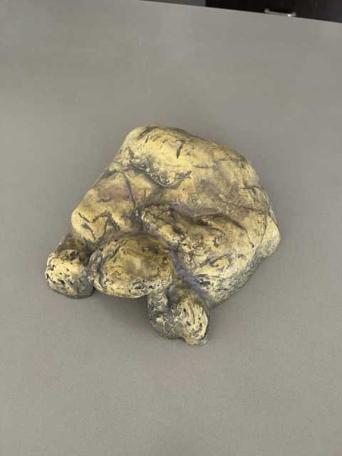 Exo Terra Large Hide | Pet Products | Gumtree Australia Salisbury Area ...