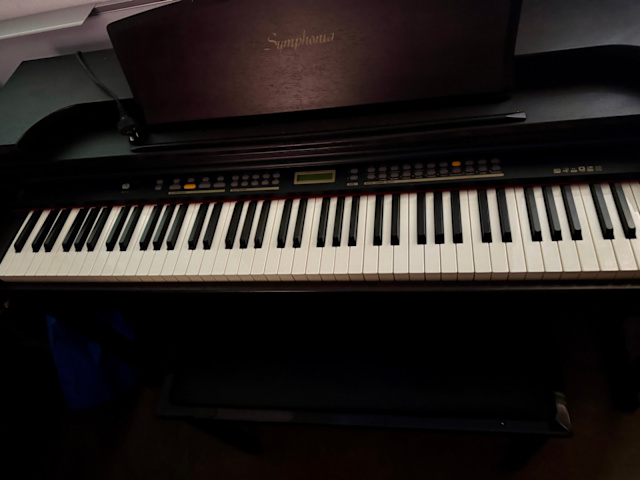 Digital piano Samick Symphonia - Keyboards & Pianos in Gordon NSW ...