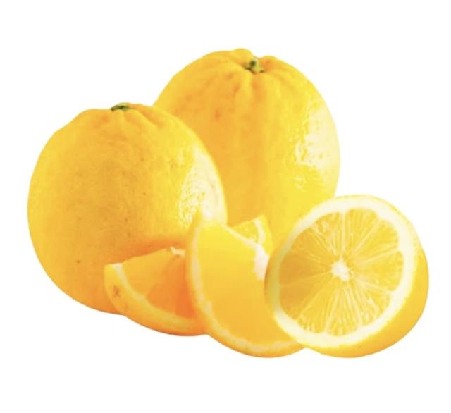 Lemonade tree - grafted and mature - Plants in Lakemba NSW | Gumtree ...