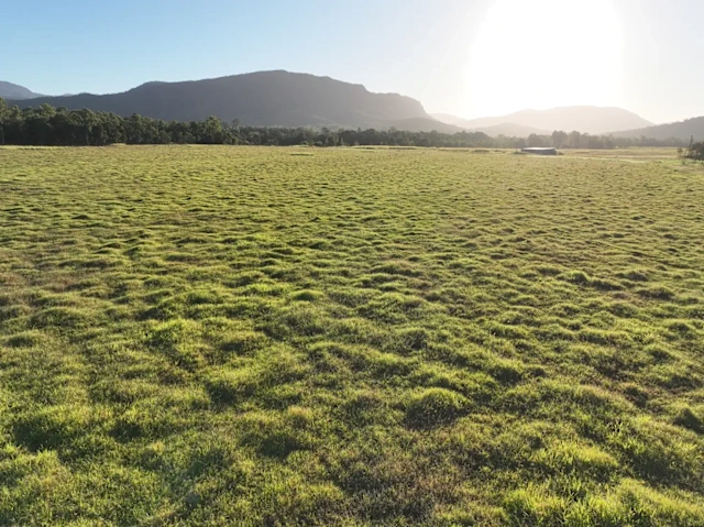 OConnell River Farming & Grazing - for Sale | Gumtree Australia