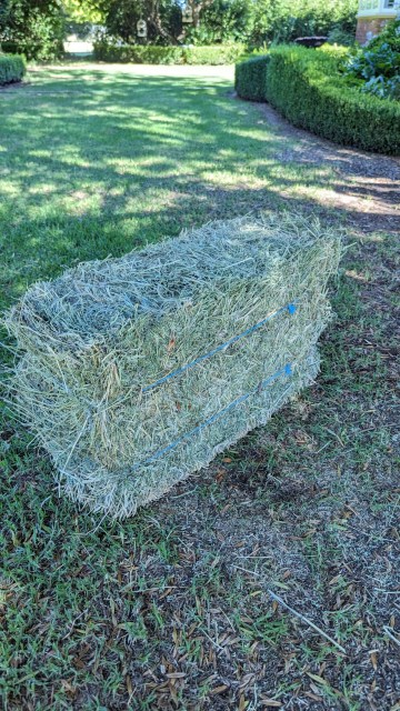 Lucerne hay - small bales 2nd grade, can deliver to anywhere in NSW ...