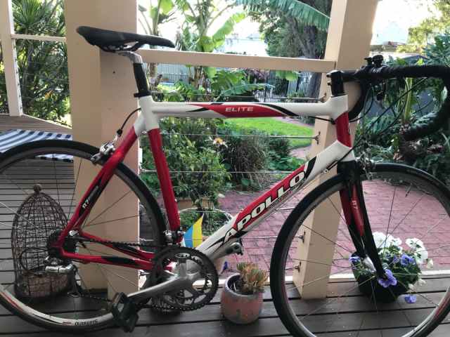 Apollo Elite Raceline Series Carbon Road Bike - Men's Bicycles in ...