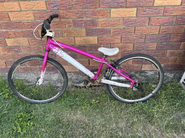 BMX race bike - mini - 20 inch - girls - pink / purple swirls - Kid's ...