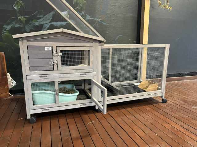 Rabbit + rabbit hutch | Rabbits | Gumtree Australia Wyndham Area ...